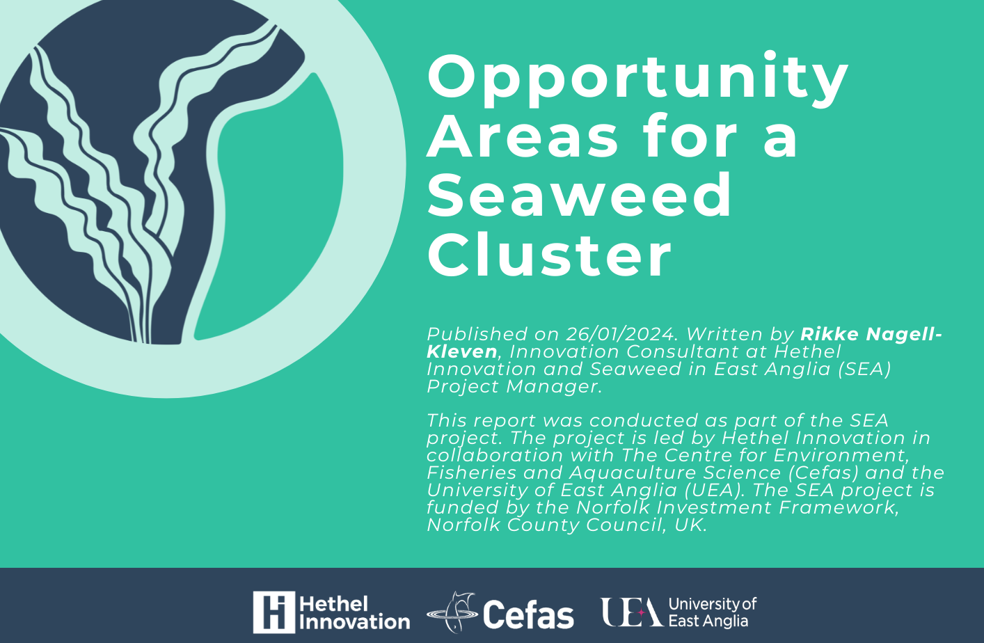 Opportunity Areas for a Seaweed Cluster